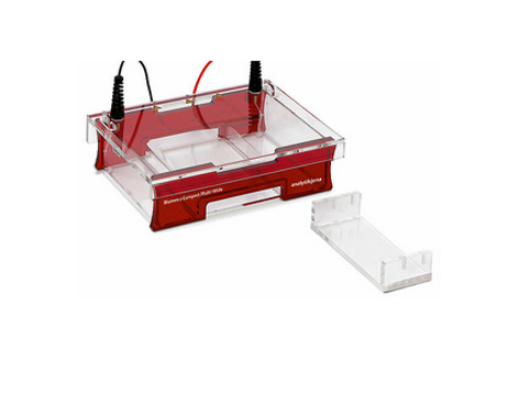 Biometra Compact Multi-Wide for gel size 15 cm x 7 cm