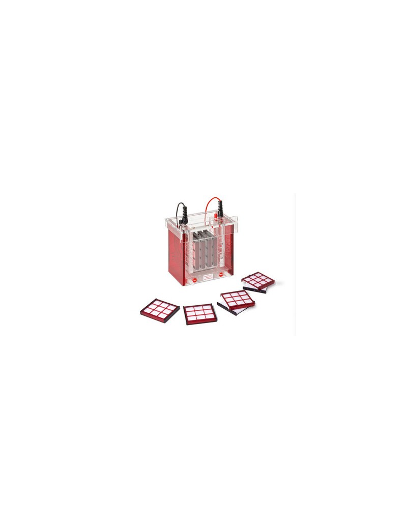Whatman 3MM Chr